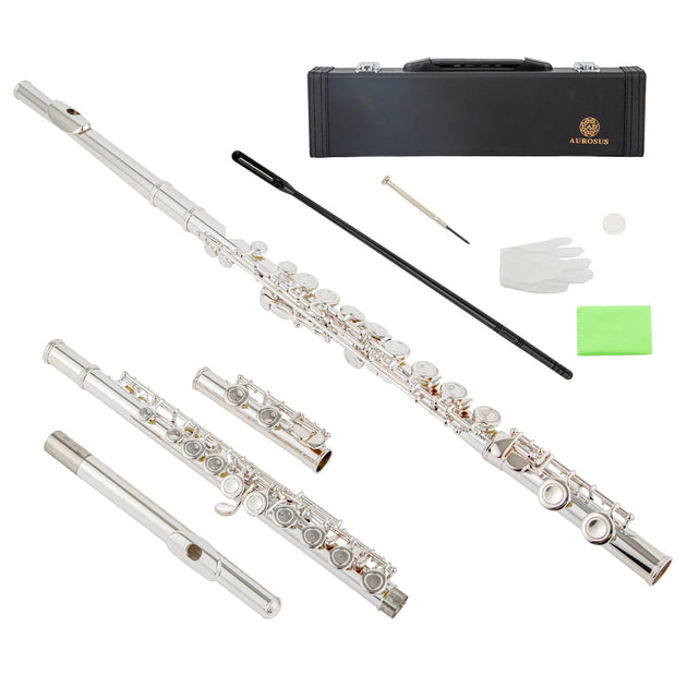 Woodwind Instruments – Musiczar